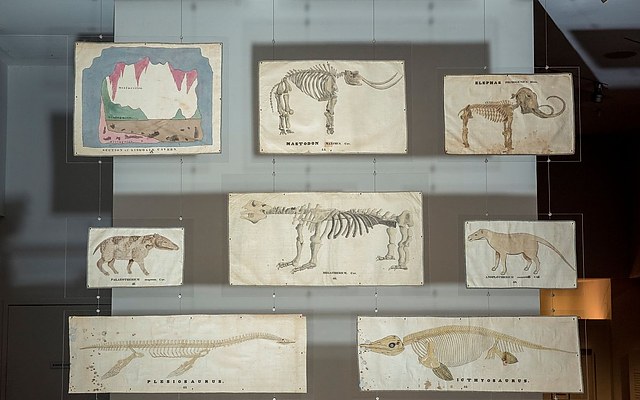 世界 - 每日环球展览 - iMuseum